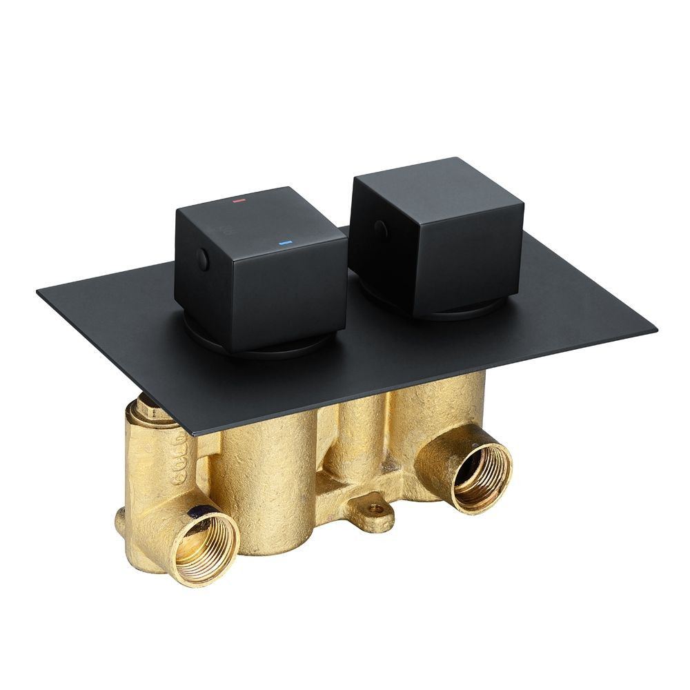 Cube Square Twin Two Outlet Thermostatic Concealed Shower Valve - Matt ...